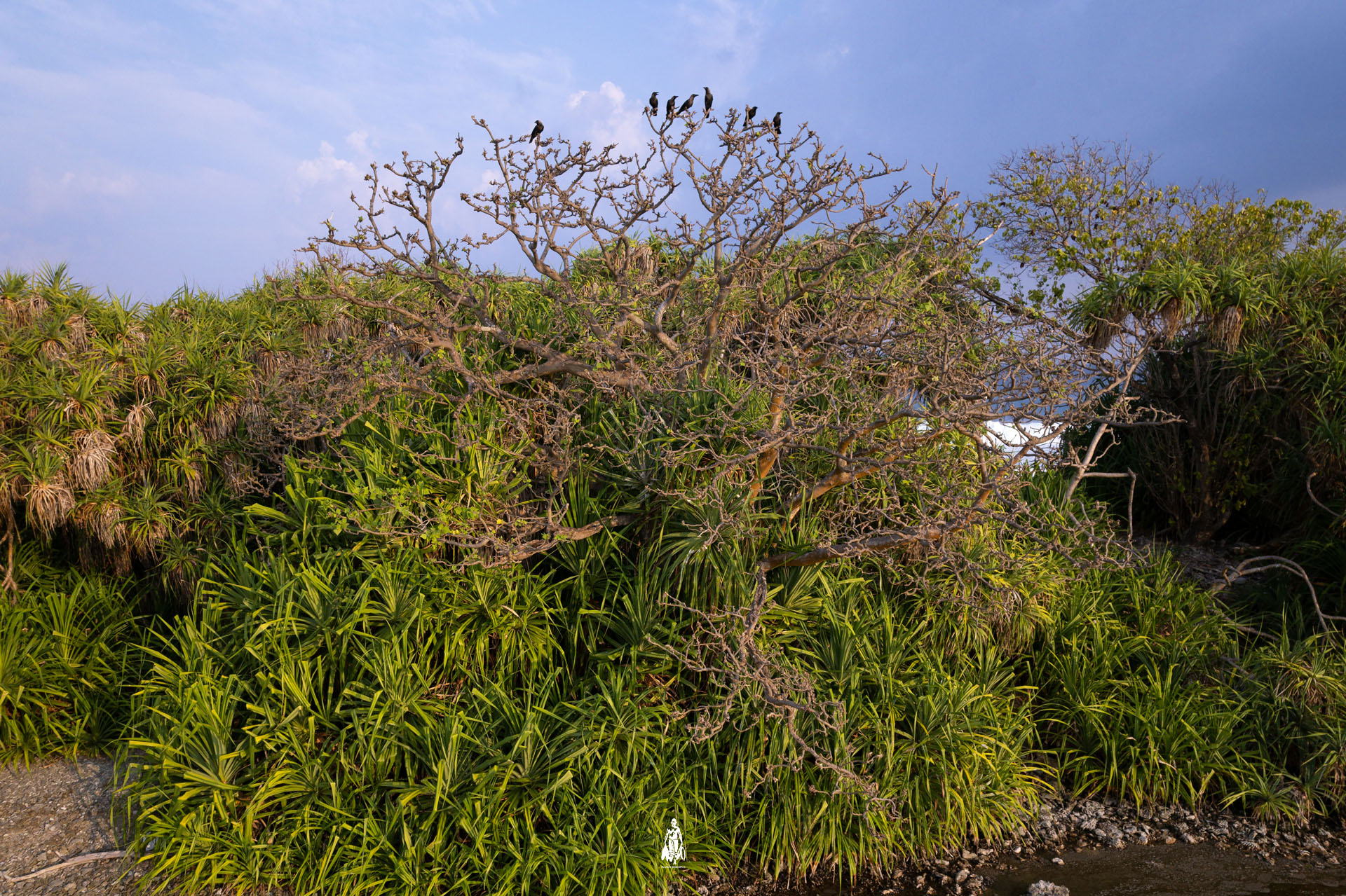 Ha. Baarah Image Gallery | Zuvaan Masveriya