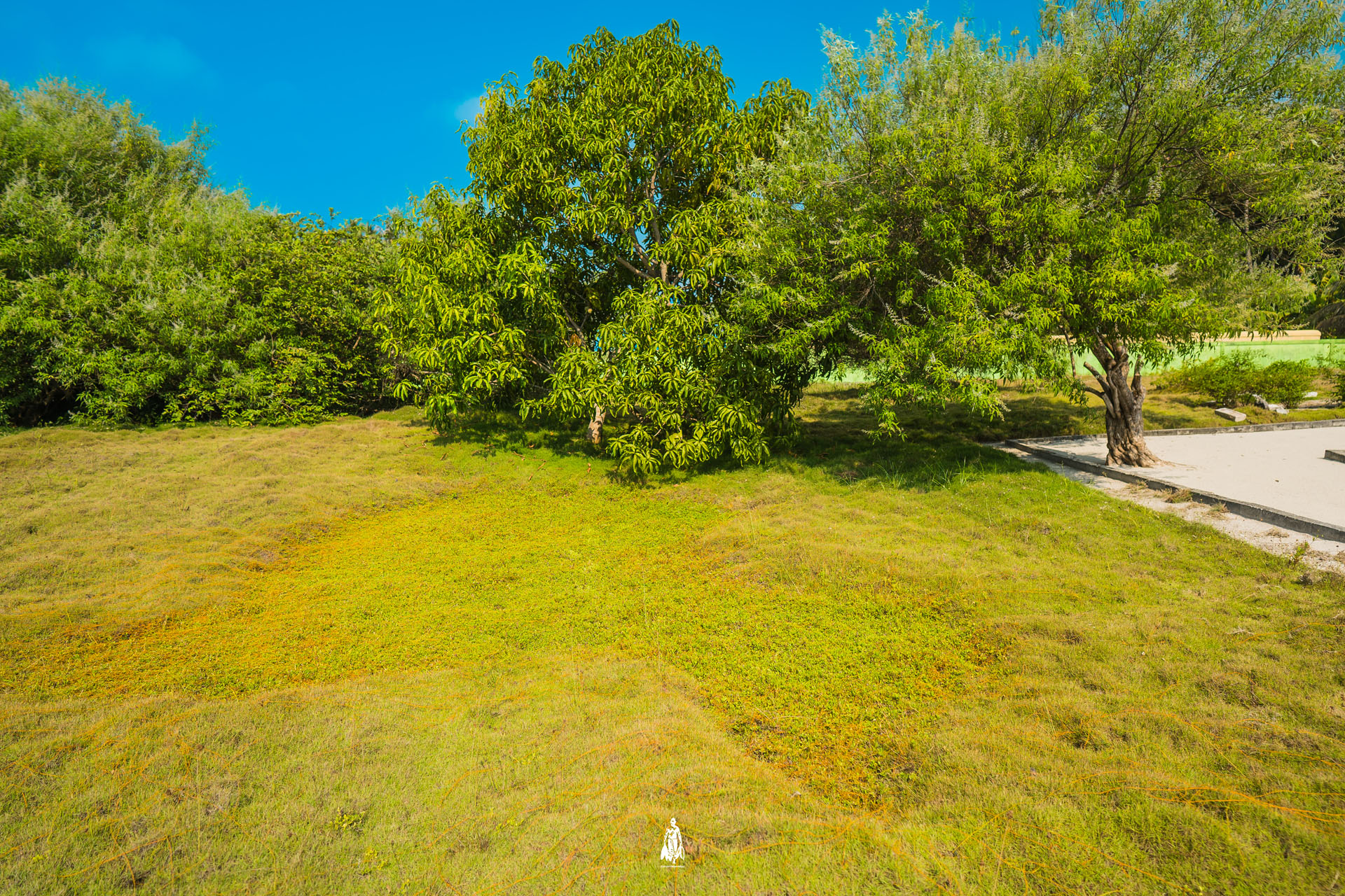 Ha. Baarah Image Gallery | Zuvaan Masveriya