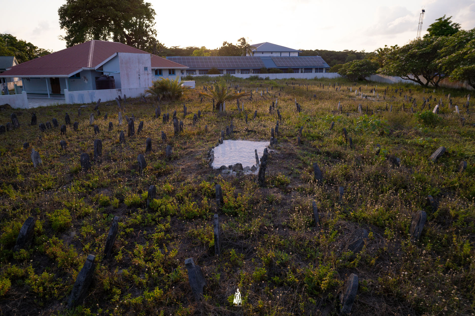 Ha. Kelaa Image Gallery | Zuvaan Masveriya