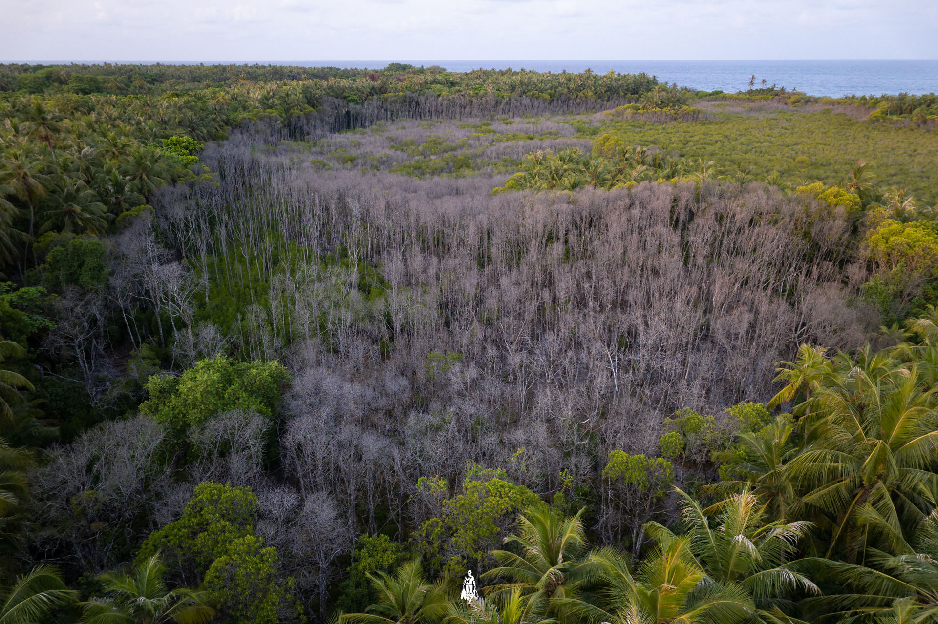 Ha. Kelaa Image Gallery | Zuvaan Masveriya