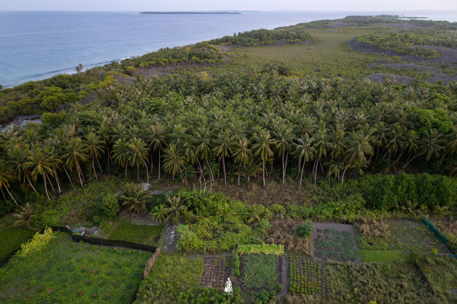 Ha. Kelaa Image Gallery | Zuvaan Masveriya