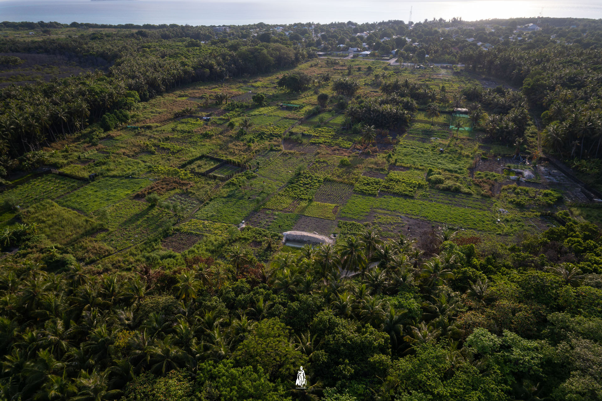 Ha. Kelaa Image Gallery | Zuvaan Masveriya