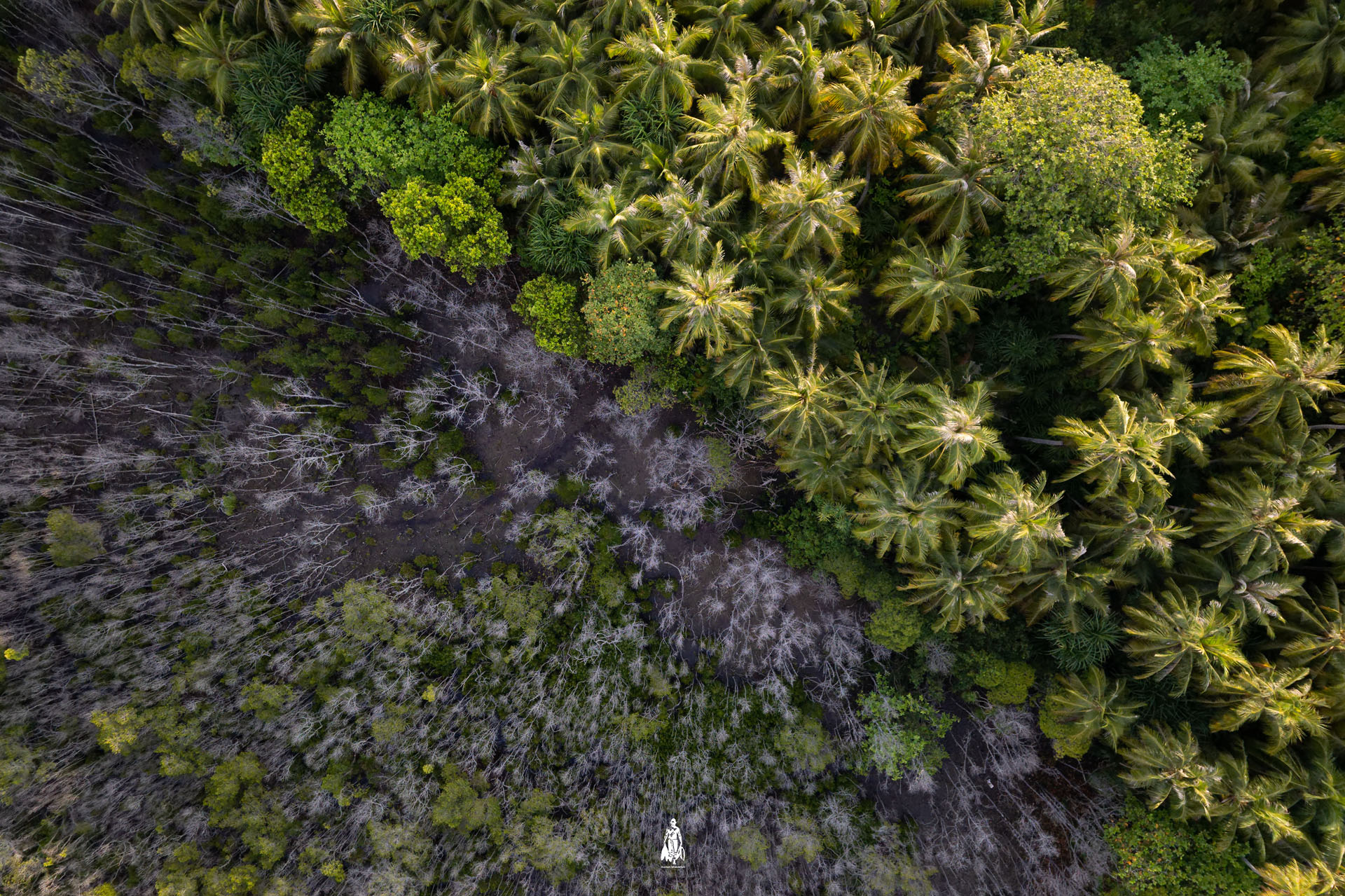 Ha. Kelaa Image Gallery | Zuvaan Masveriya