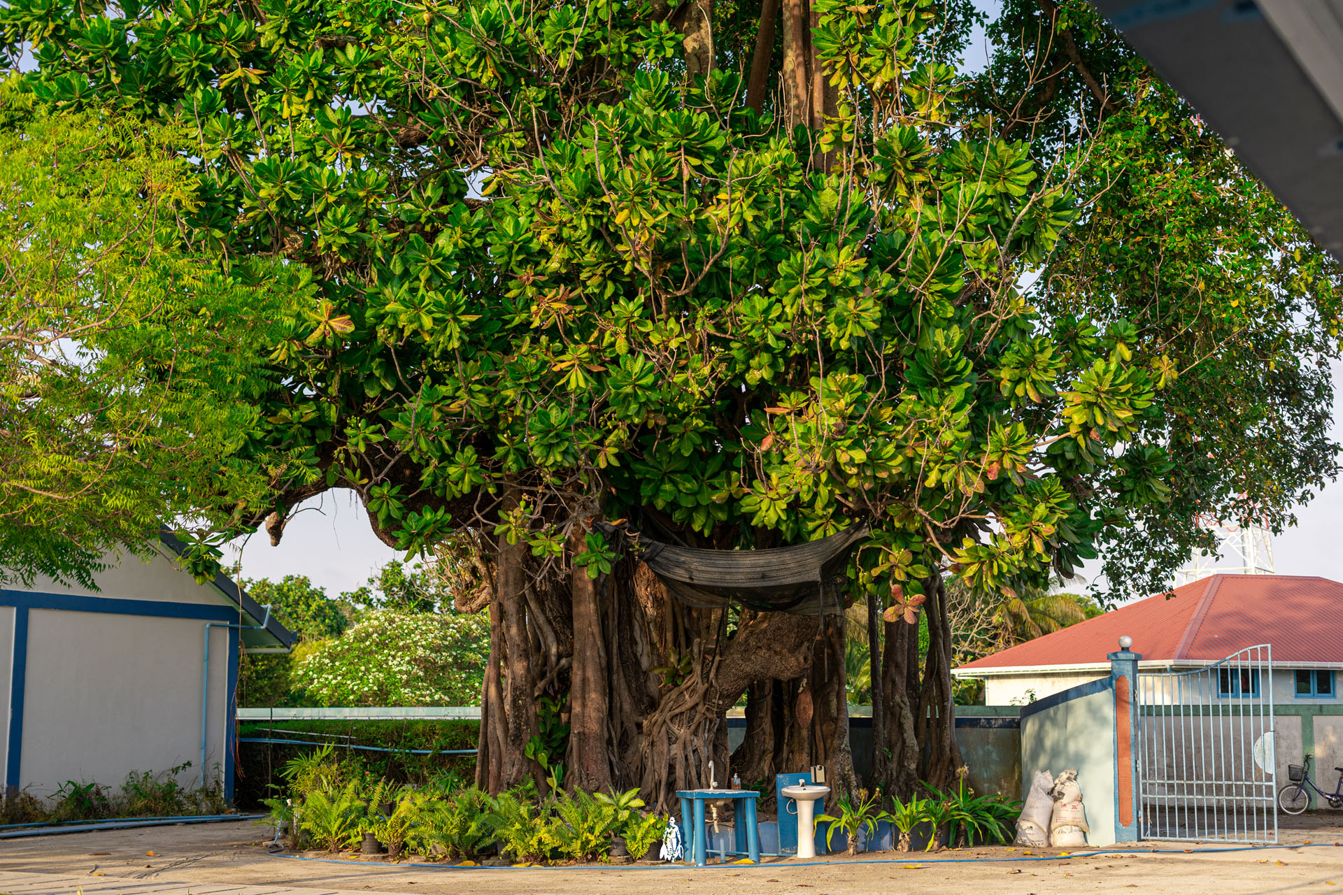 Kelaa: Natural Beauty & Rich History | Zuvaan Masveriya