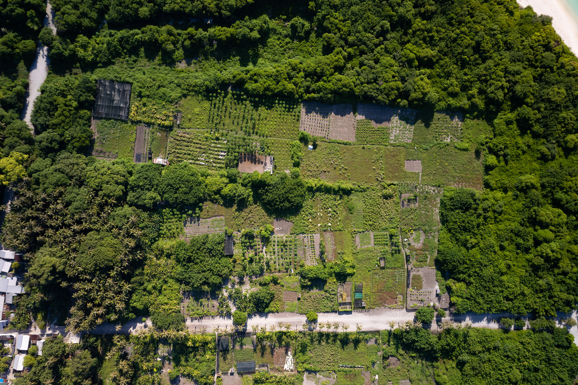 HDh. Finey Image Gallery | Zuvaan Masveriya