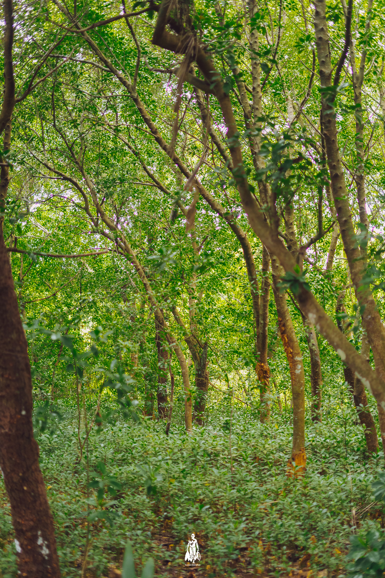 HDh. Hirimaradhoo Image Gallery | Zuvaan Masveriya