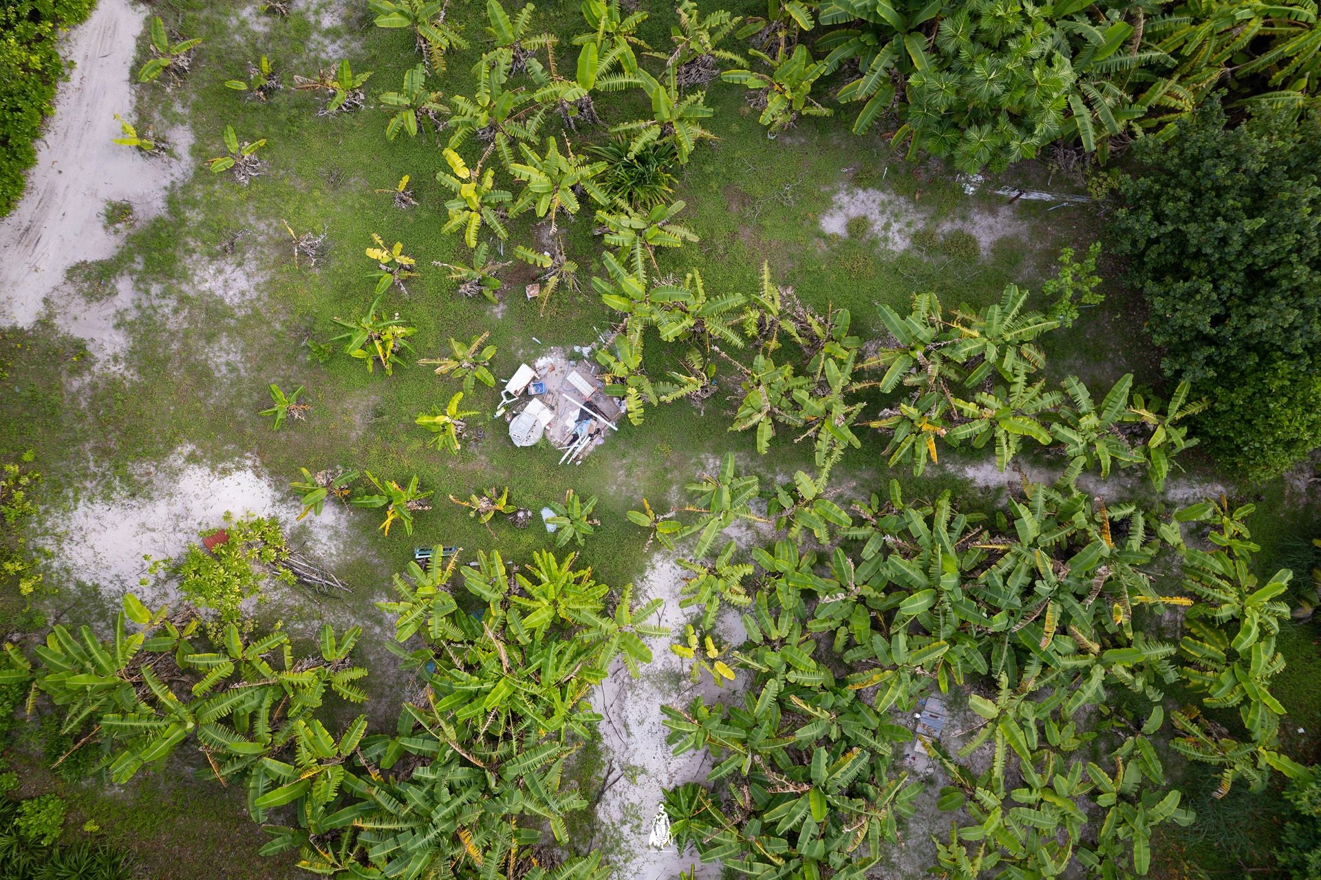 HDh. Makunudhoo Image Gallery | Zuvaan Masveriya