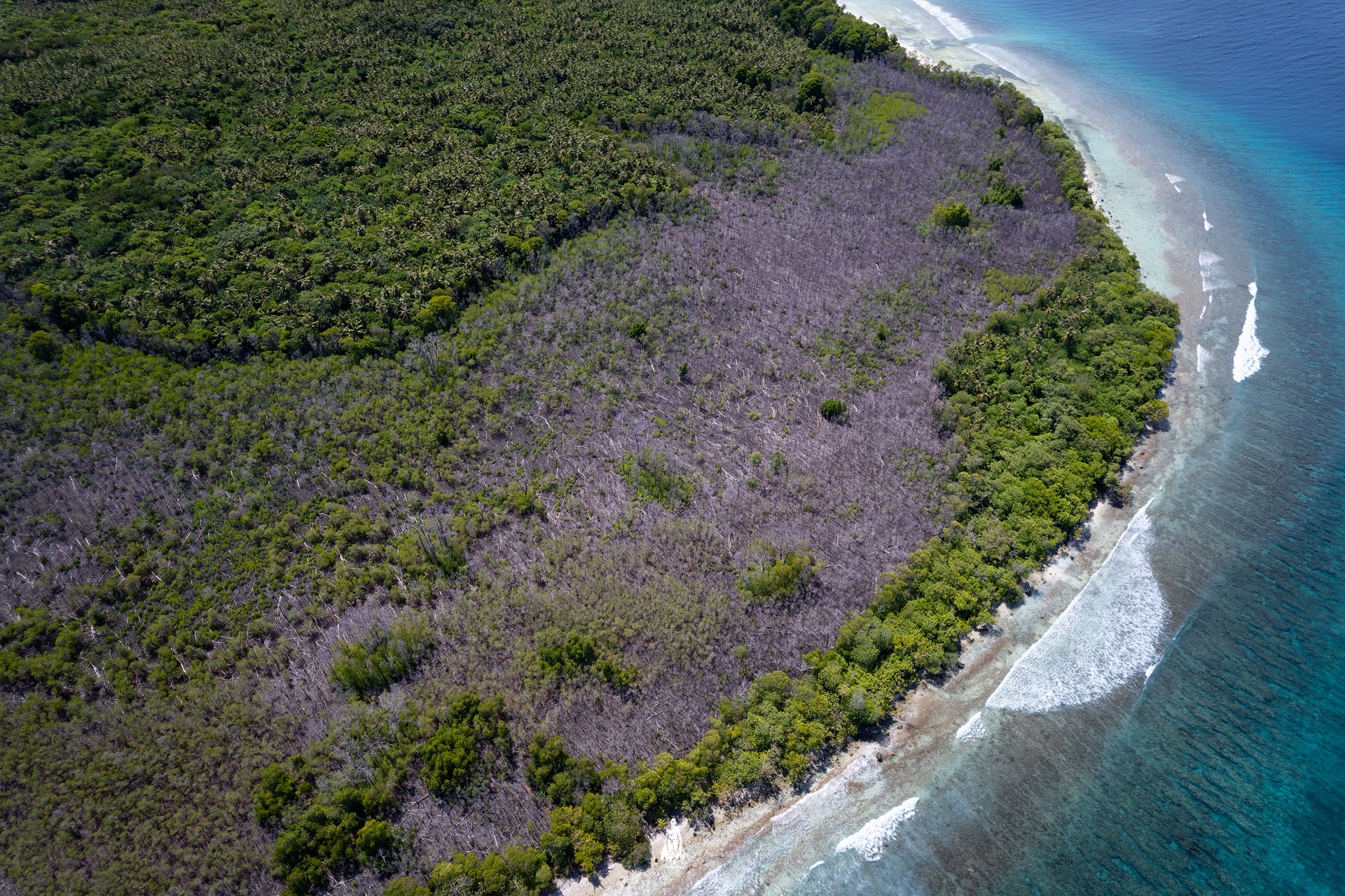 HDh. Neykurendhoo Image Gallery | Zuvaan Masveriya