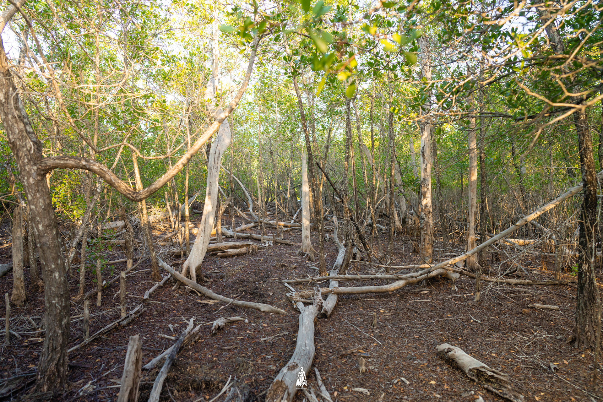HDh. Neykurendhoo Image Gallery | Zuvaan Masveriya