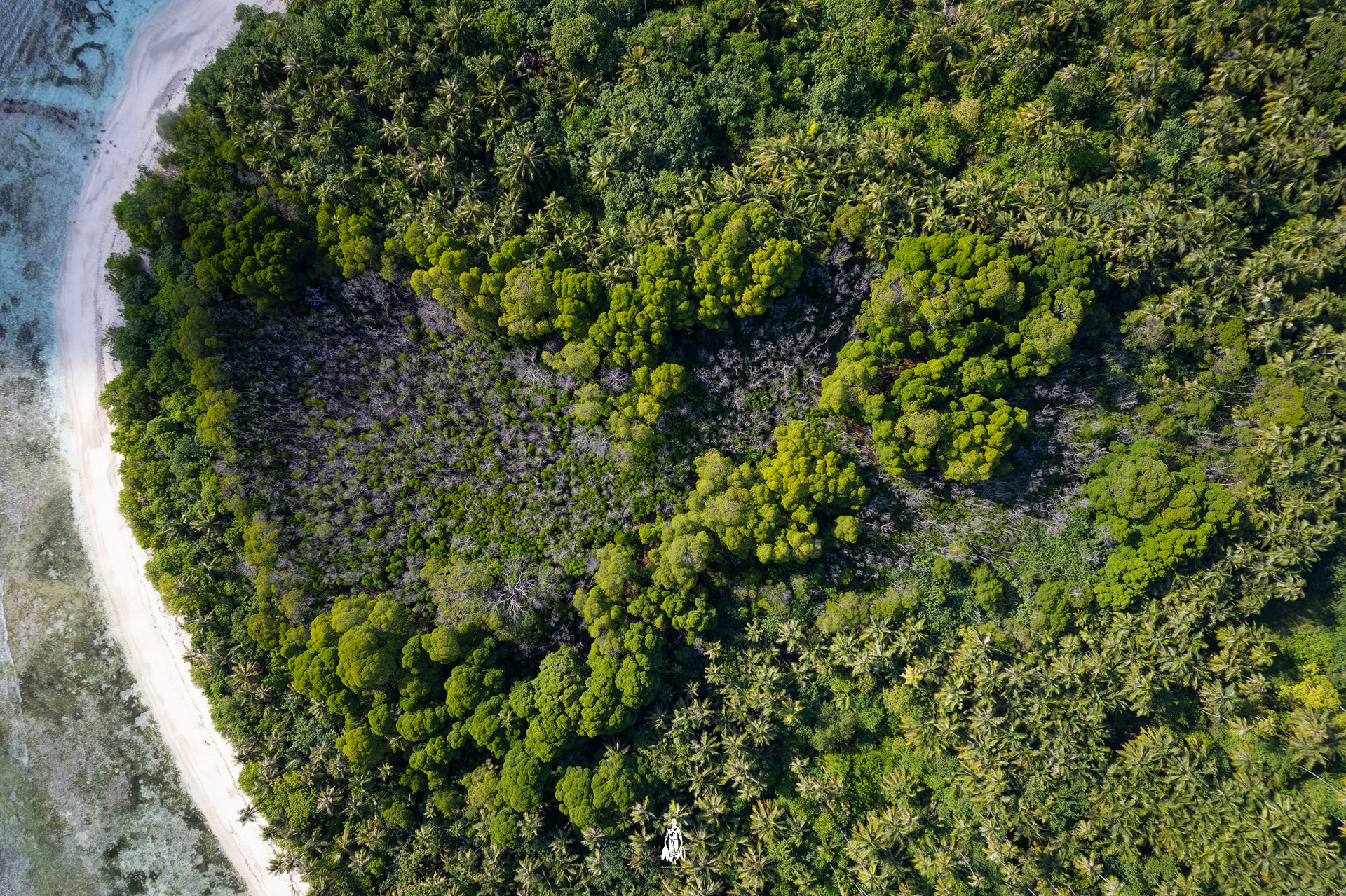 HDh. Vaikaradhoo Image Gallery | Zuvaan Masveriya