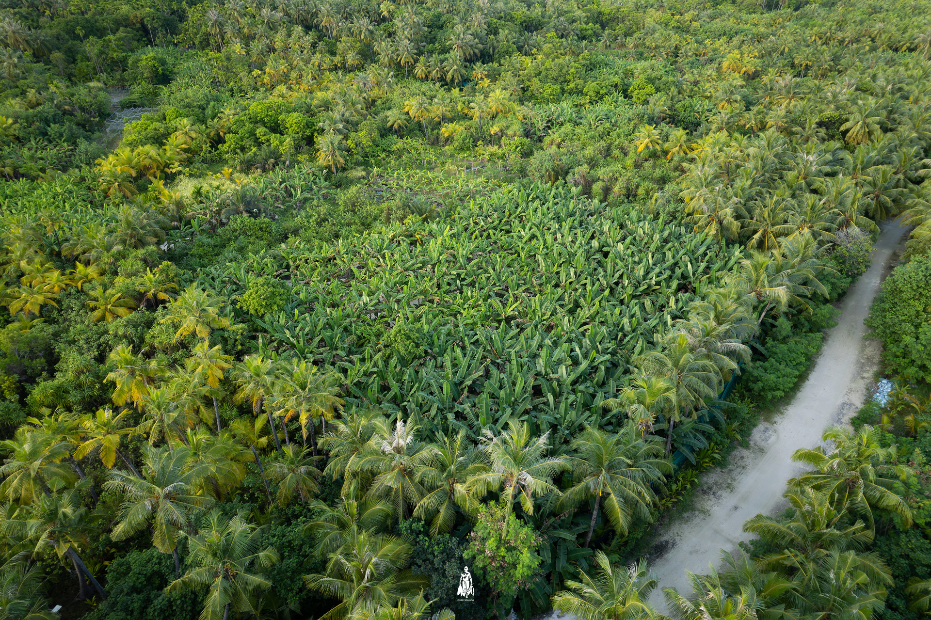 Sh. Feevah | Zuvaan Masveriya