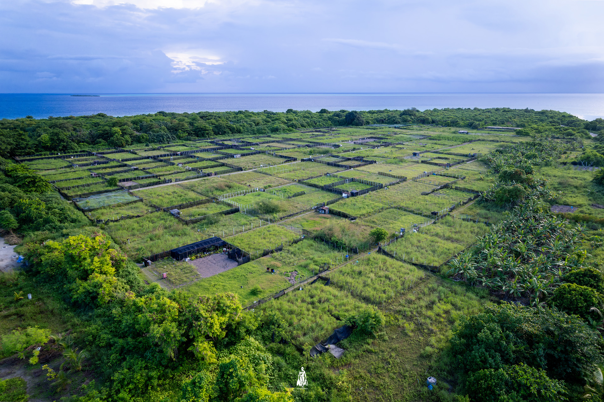 Sh. Goidhoo Image Gallery | Zuvaan Masveriya