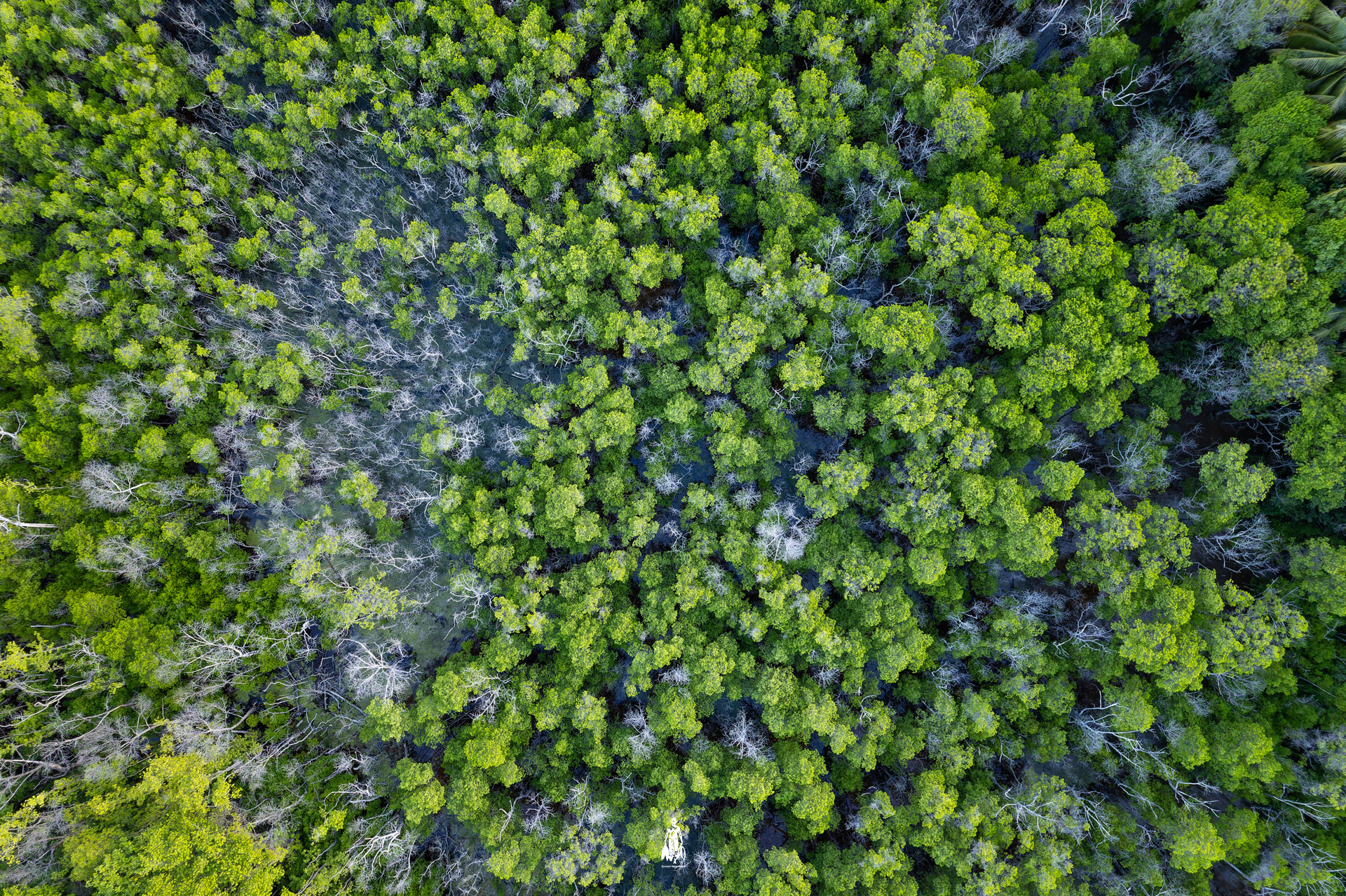 Sh. Goidhoo Image Gallery | Zuvaan Masveriya